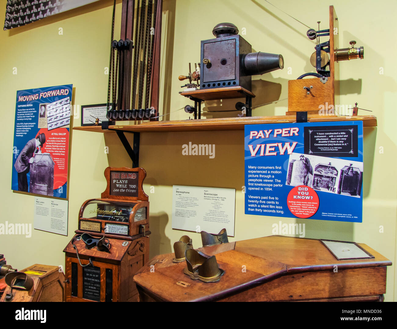 Edison and Ford Winter Estates Florida Stock Photo - Alamy