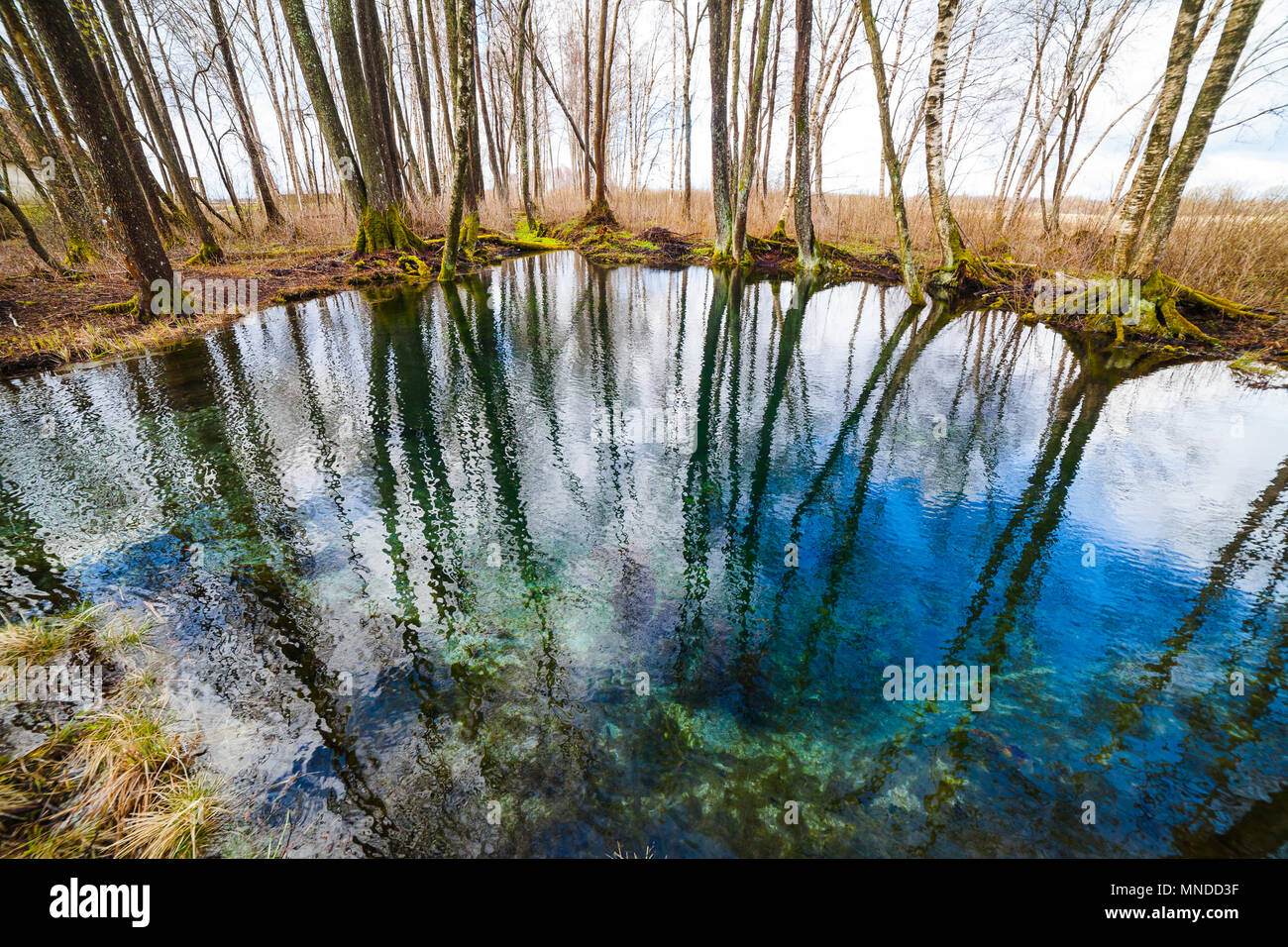 Blue colored fresh water spring on in rock formation. Puhatu, Saaremaa ...