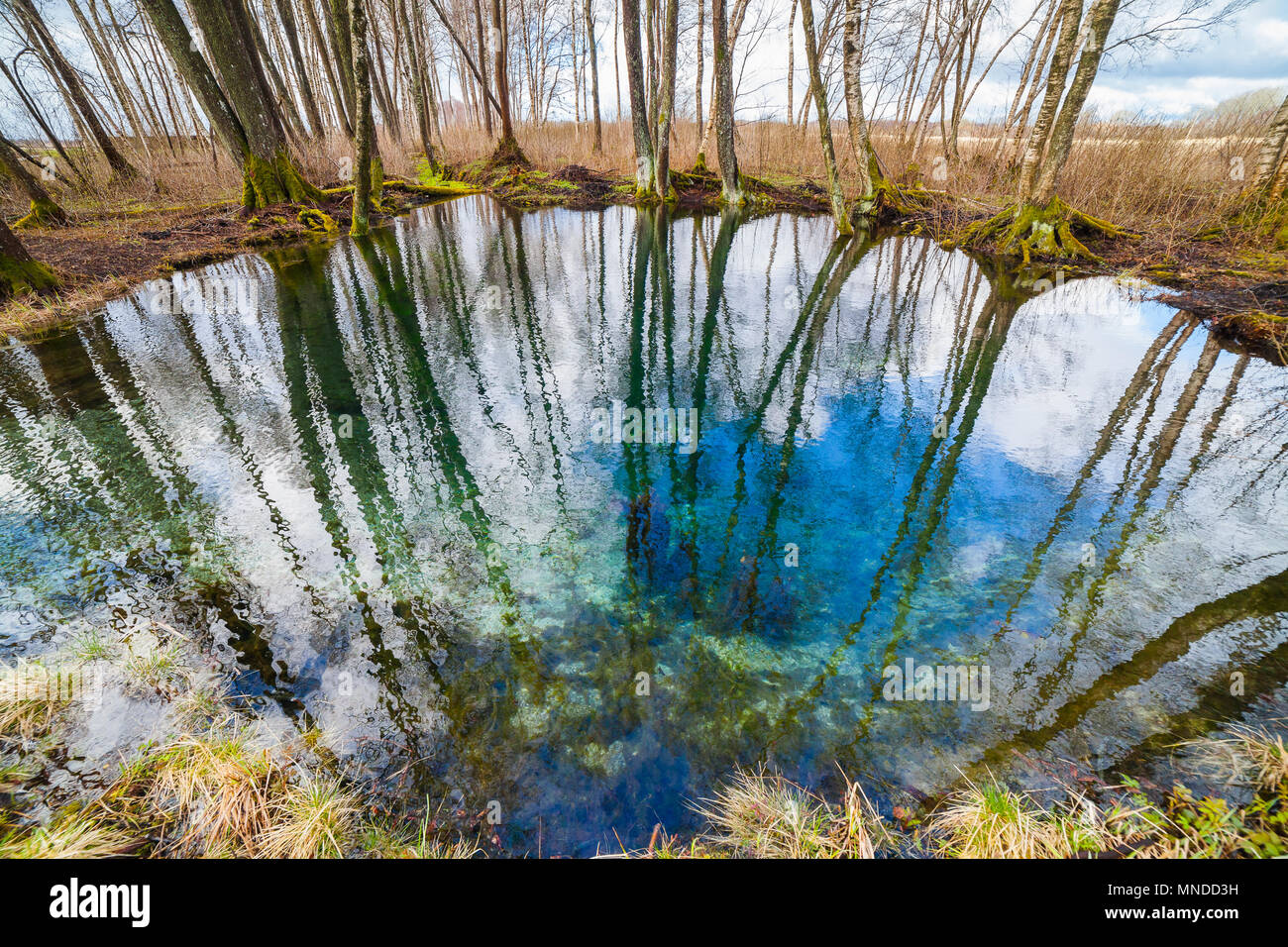 Amazing Puhatu fresh water springs, natural landmark of Estonia Stock ...