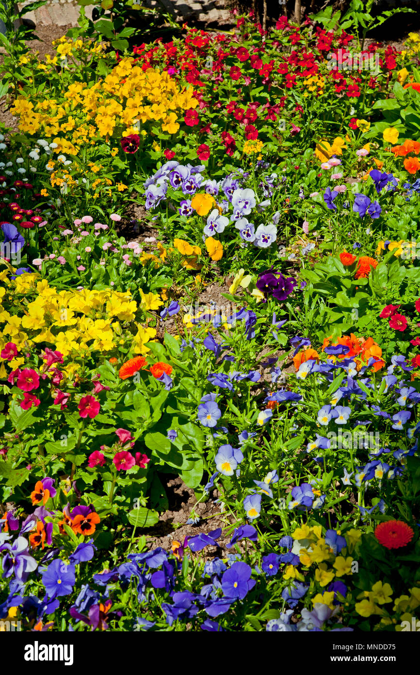 Riot of nature hi-res stock photography and images - Alamy