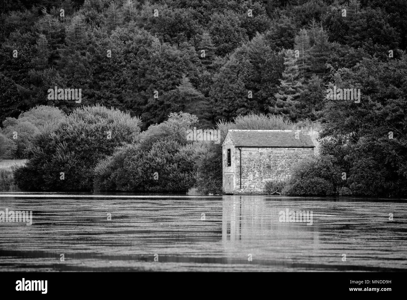 Talkin Tarn Country Park . Cumbria . England Stock Photo - Alamy