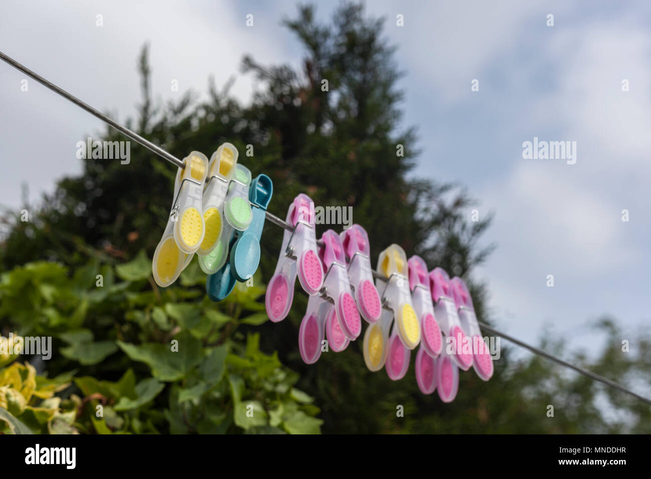 Clothes pegs on washing line Stock Photo - Alamy