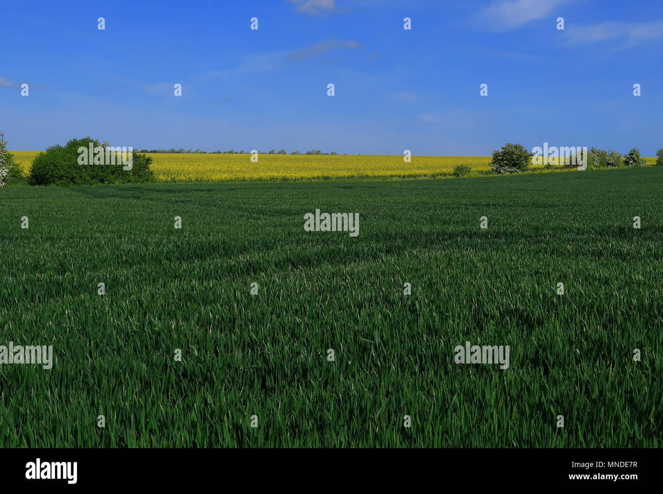 Minster countryside hi-res stock photography and images - Alamy