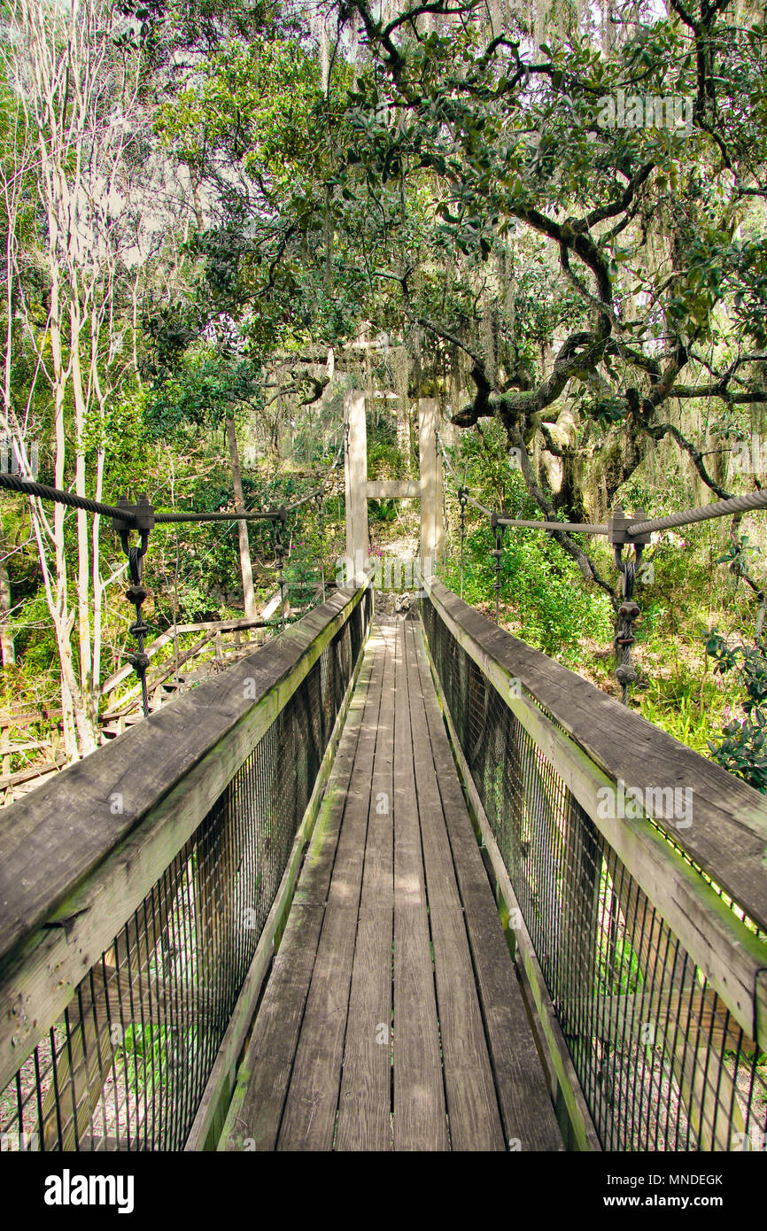 Palatka florida hi-res stock photography and images - Alamy