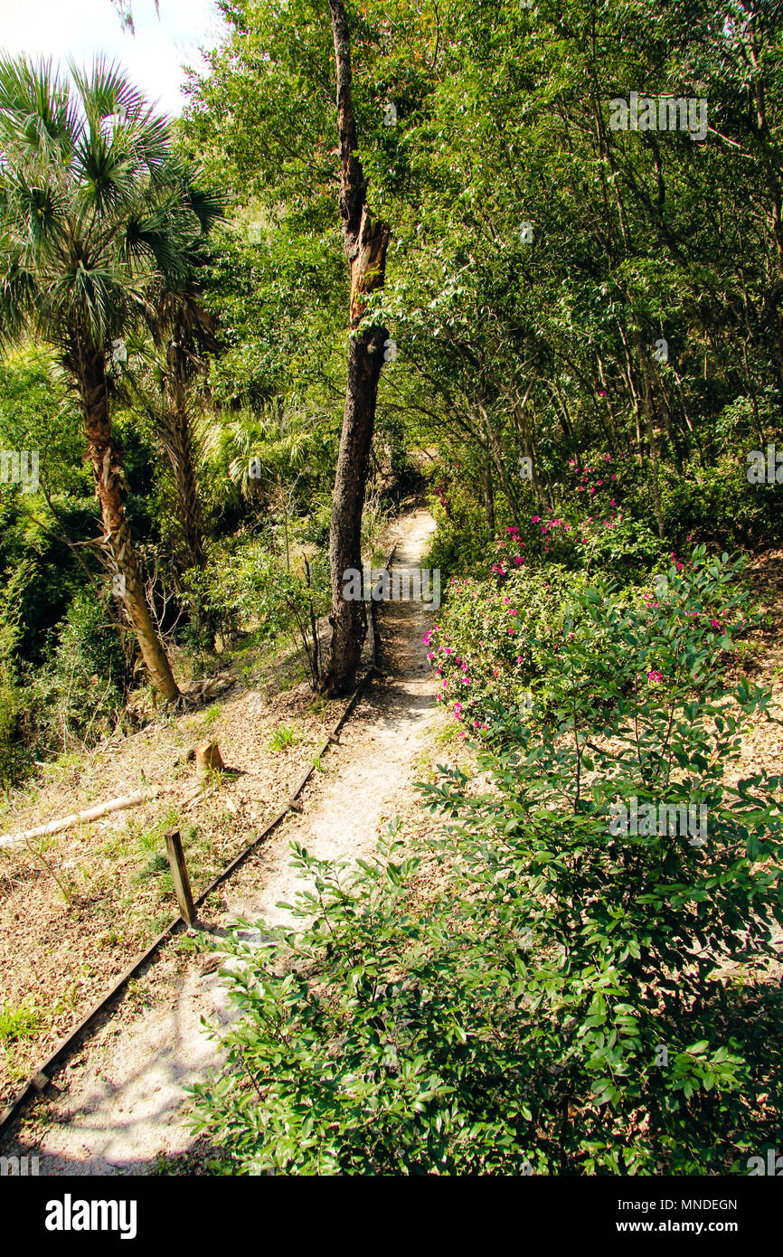 Ravine Gardens State Park in Palatka Florida Stock Photo - Alamy