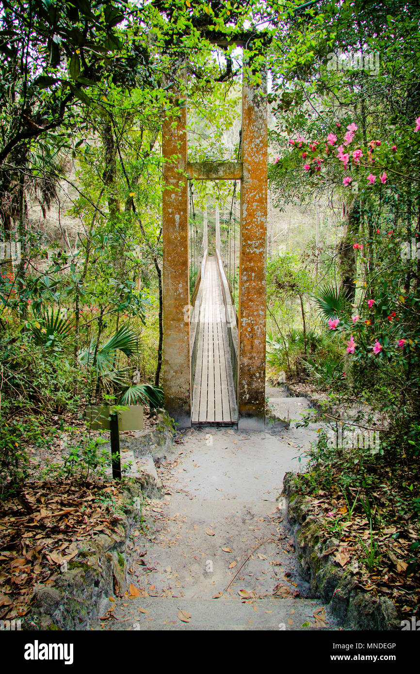 Ravine Gardens State Park in Palatka Florida Stock Photo - Alamy