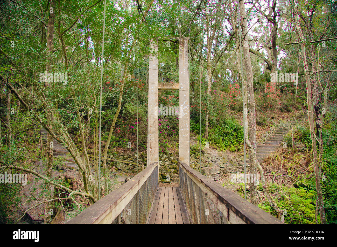 Ravine Gardens State Park in Palatka Florida Stock Photo - Alamy