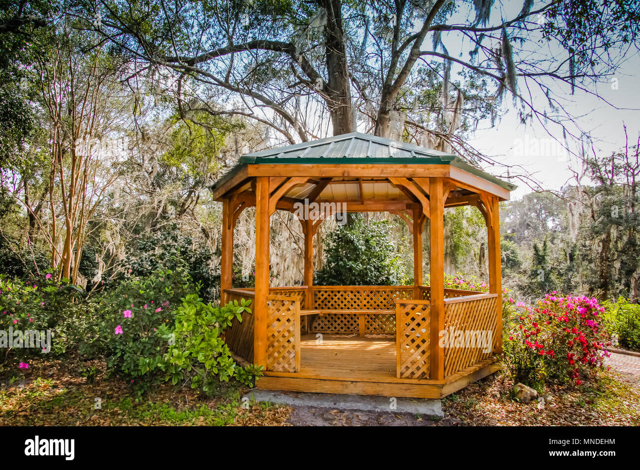 Ravine Gardens State Park in Palatka Florida Stock Photo - Alamy