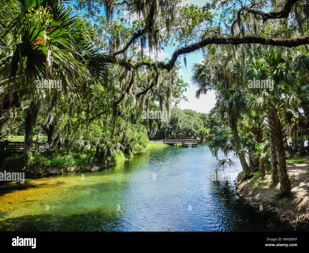 Debary florida hi-res stock photography and images - Alamy