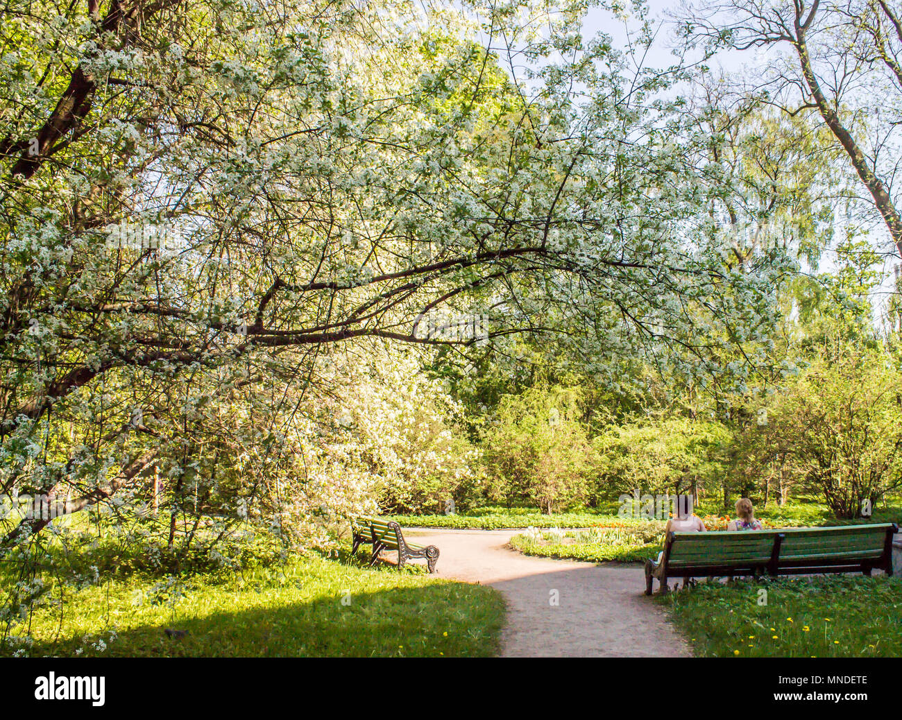 Women bench spring hi-res stock photography and images - Alamy