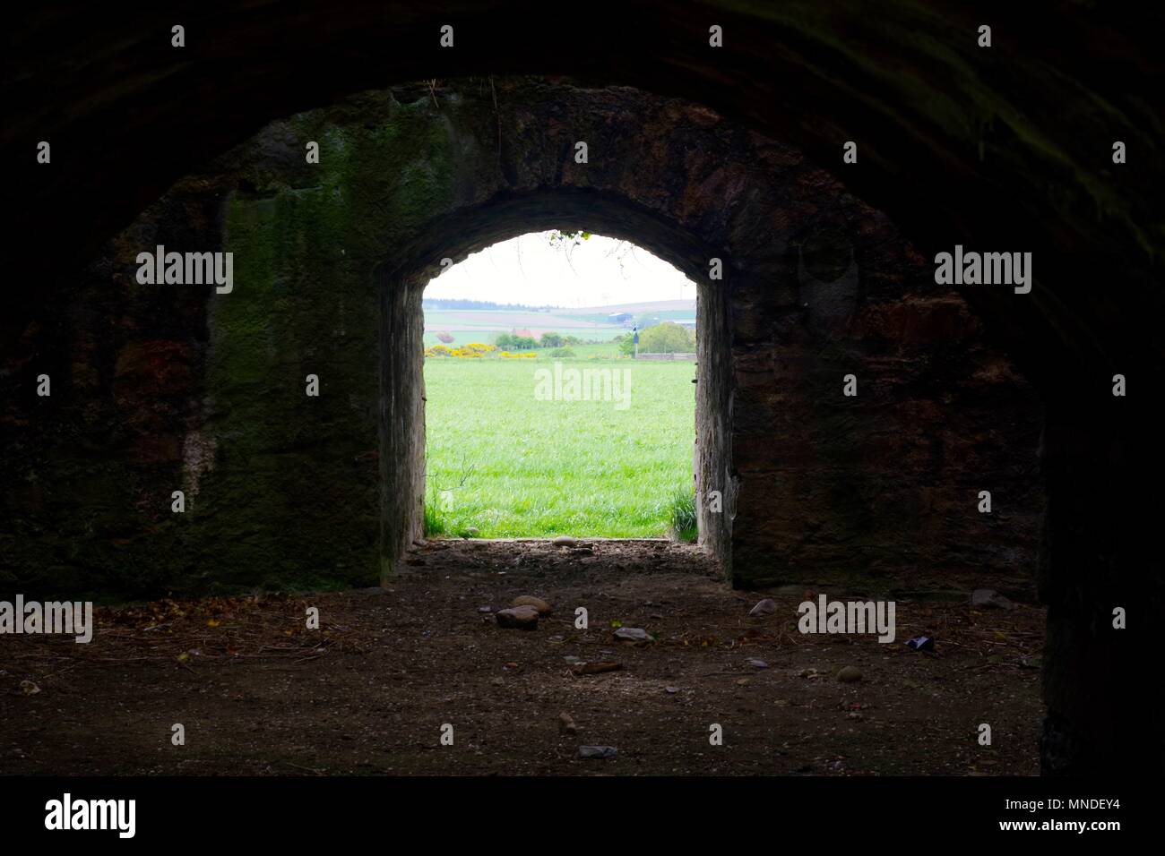 Glassaugh Windmill Cup and Saucer. 17th Century Crumbling Windmill Base ...