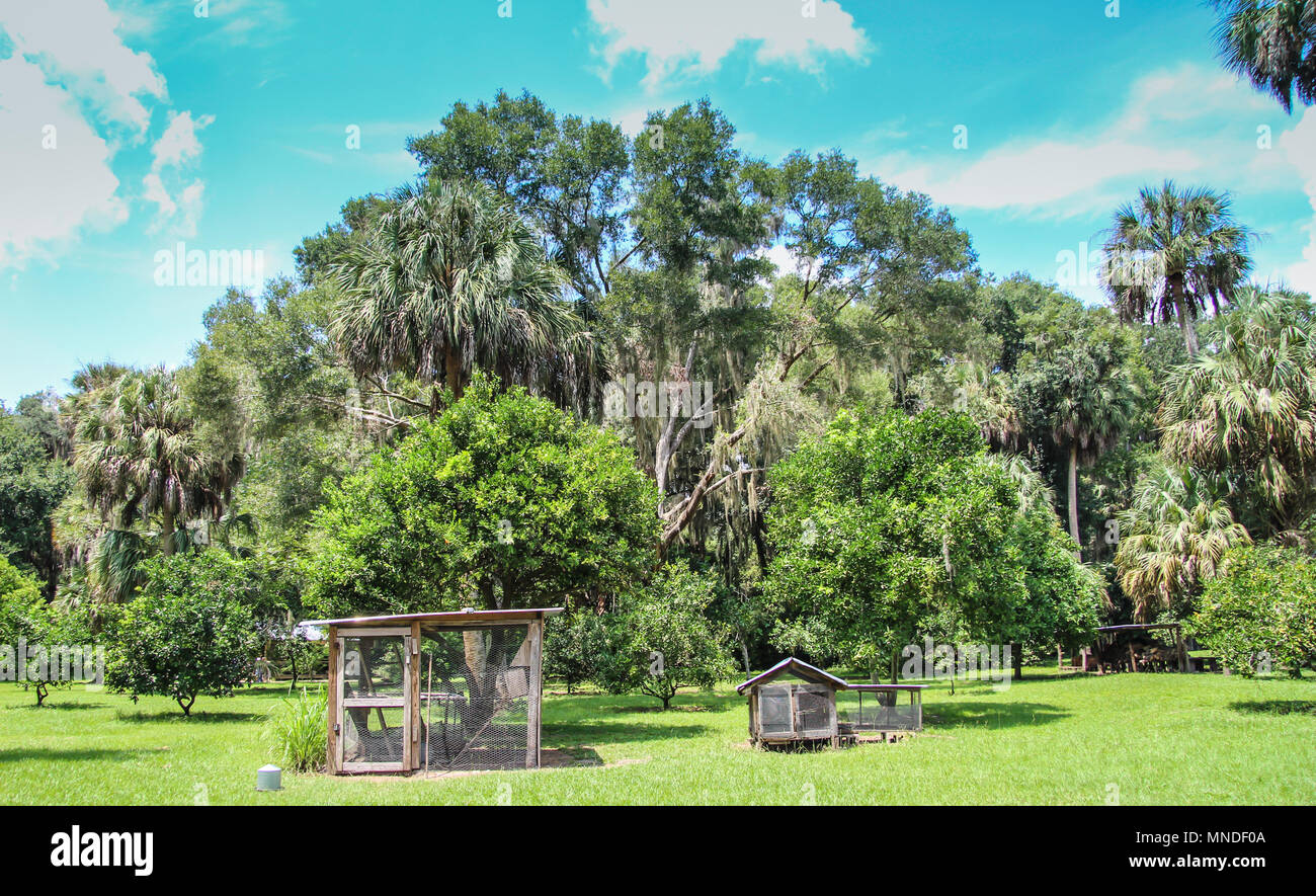 Marjorie Kinnan Rawlings Historic State Park in Hawthorne Florida Stock ...