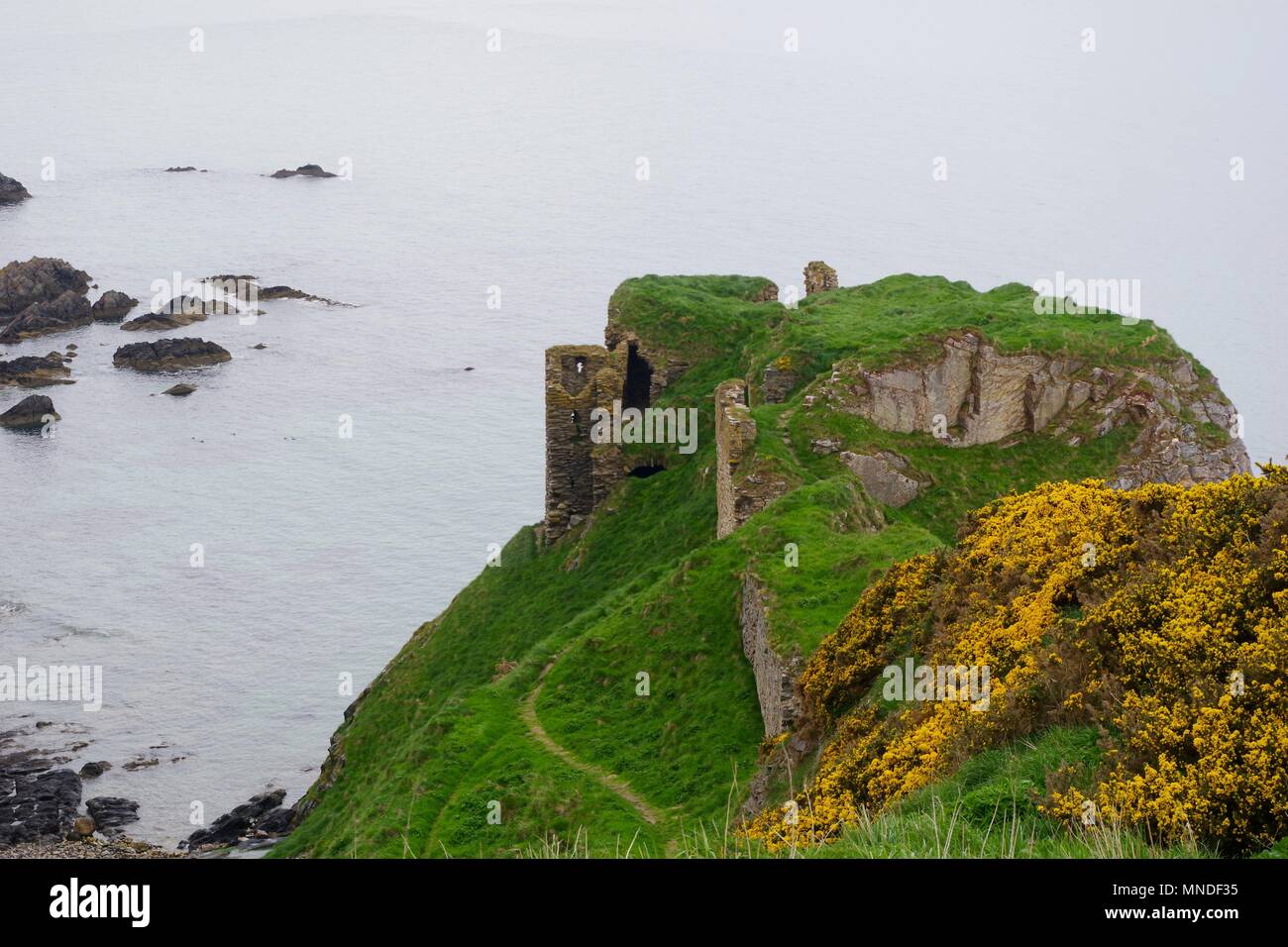 Ruin of Findlater Castle Built Precariously on a Rugged Sea Cliff ...
