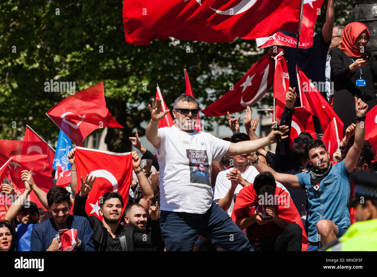 Turkish wolf hi-res stock photography and images - Alamy