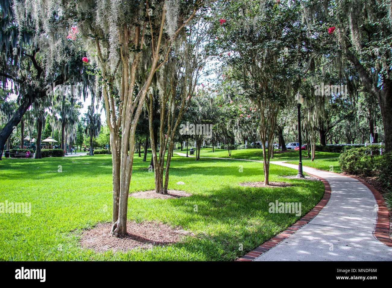 Cypress Grove Park in Orlando Florida, Central Florida Stock Photo - Alamy