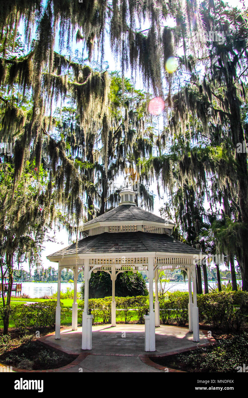 Cypress Grove Park in Orlando Florida, Central Florida Stock Photo - Alamy Cypress Grove Park in Orlando Florida, Central Florida Stock Photo - Alamy