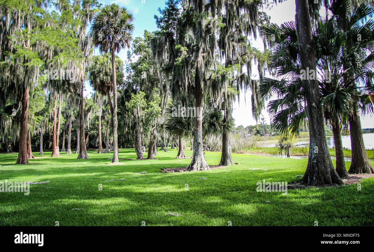Cypress Grove Park in Orlando Florida, Central Florida Stock Photo - Alamy Cypress Grove Park in Orlando Florida, Central Florida Stock Photo - Alamy