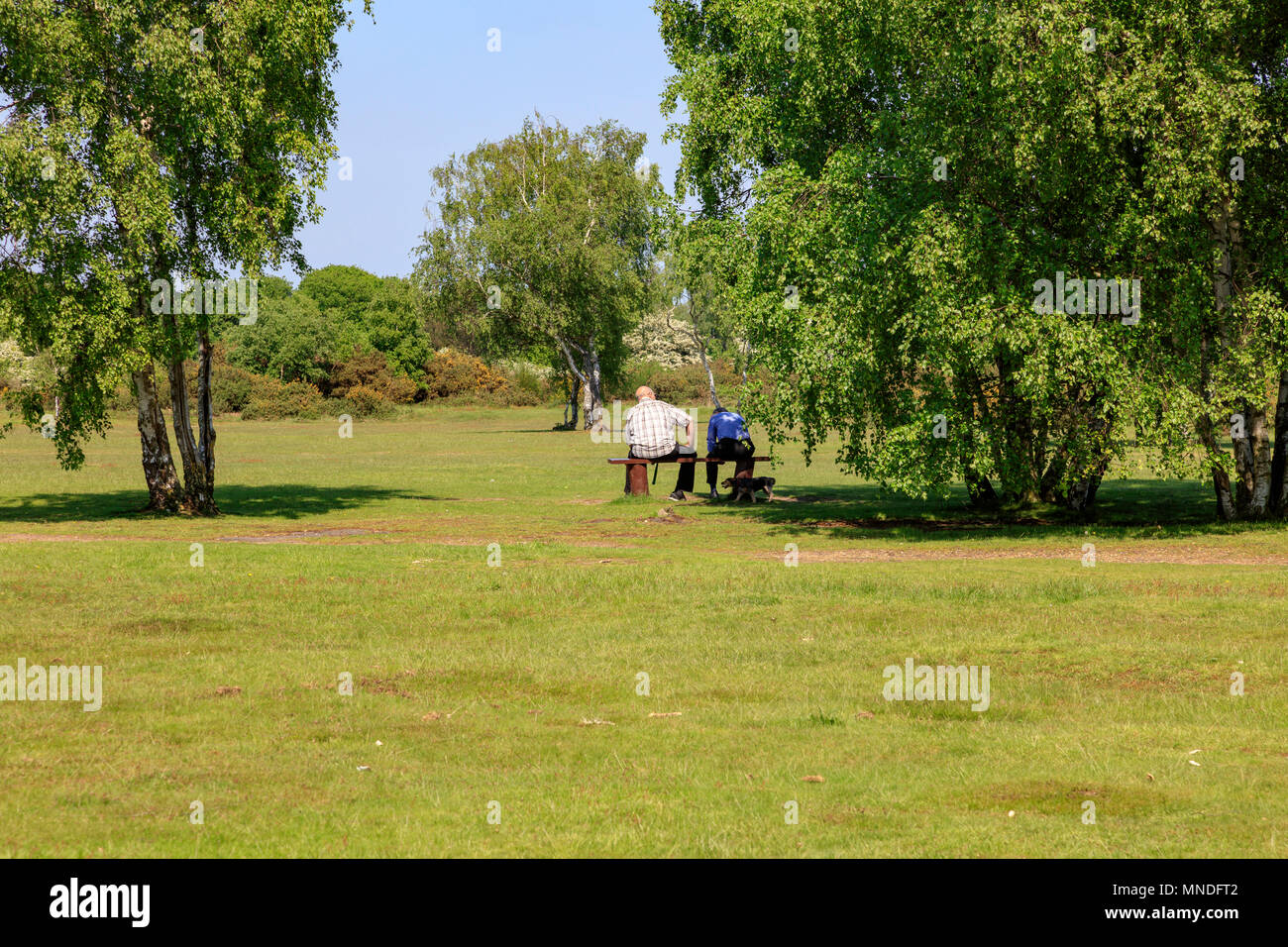 Two dog walkers sit on a bench talking and resting, Dartford Heath ...