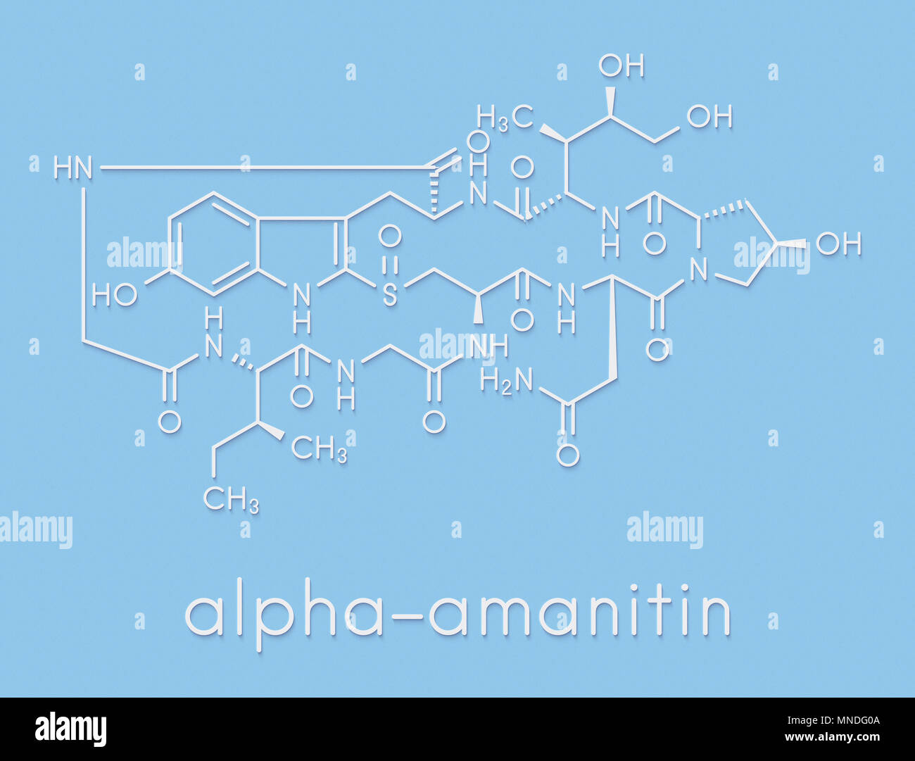 Alpha-amanitin death cap toxin molecule. Present in many Amanita ...