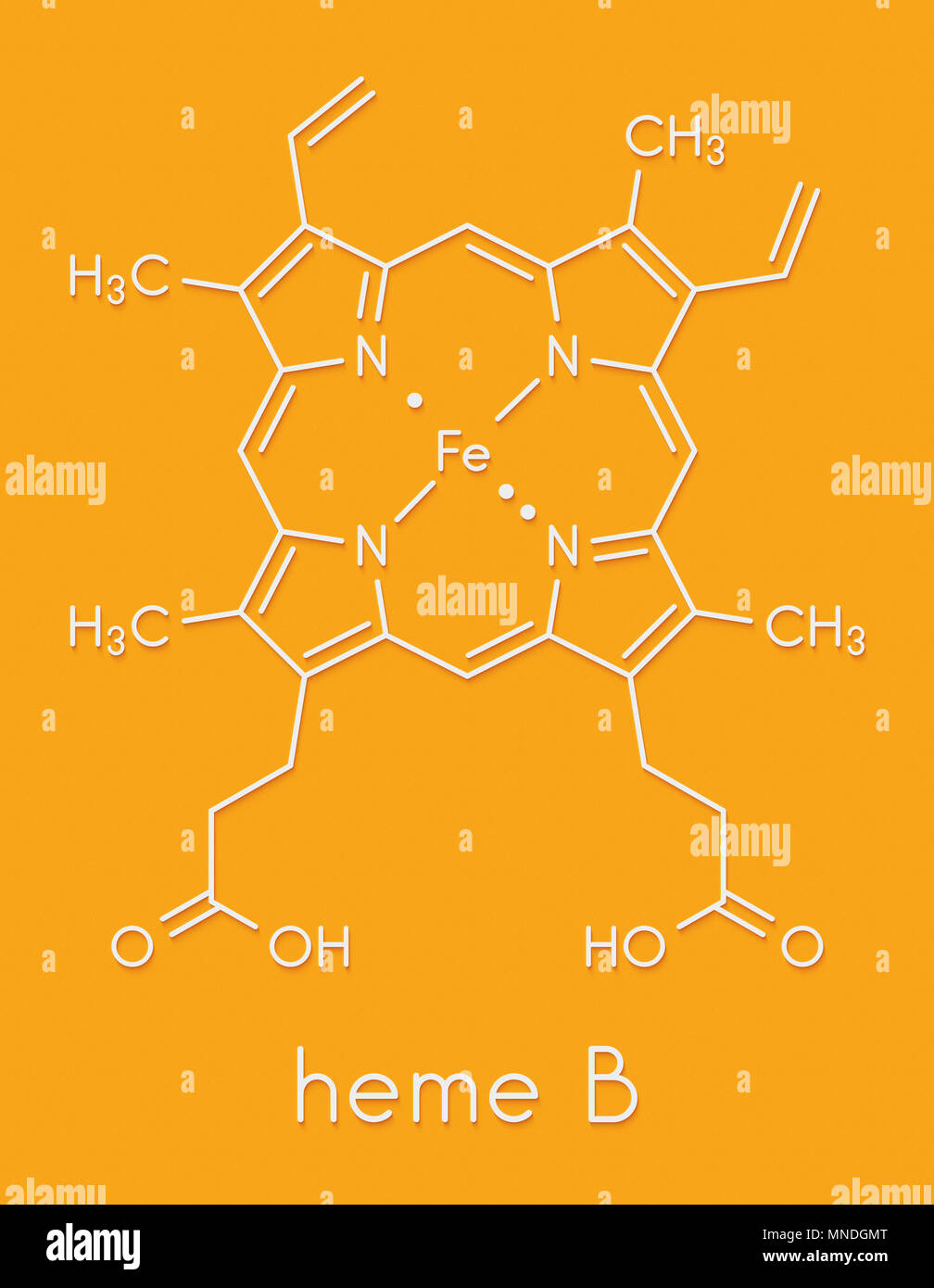 Heme oxygenase hi-res stock photography and images - Alamy