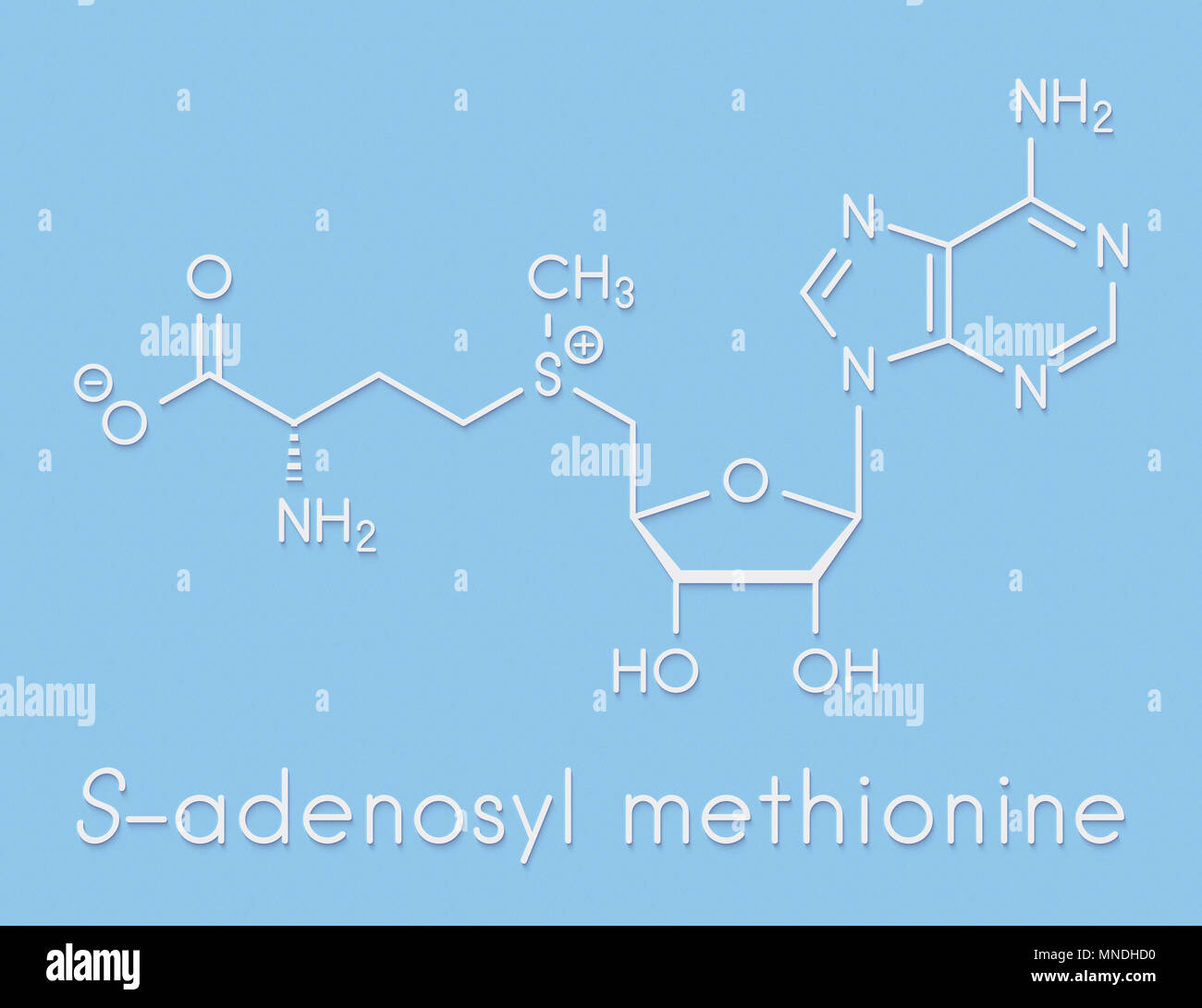 Methionine Stock Photos & Methionine Stock Images - Alamy