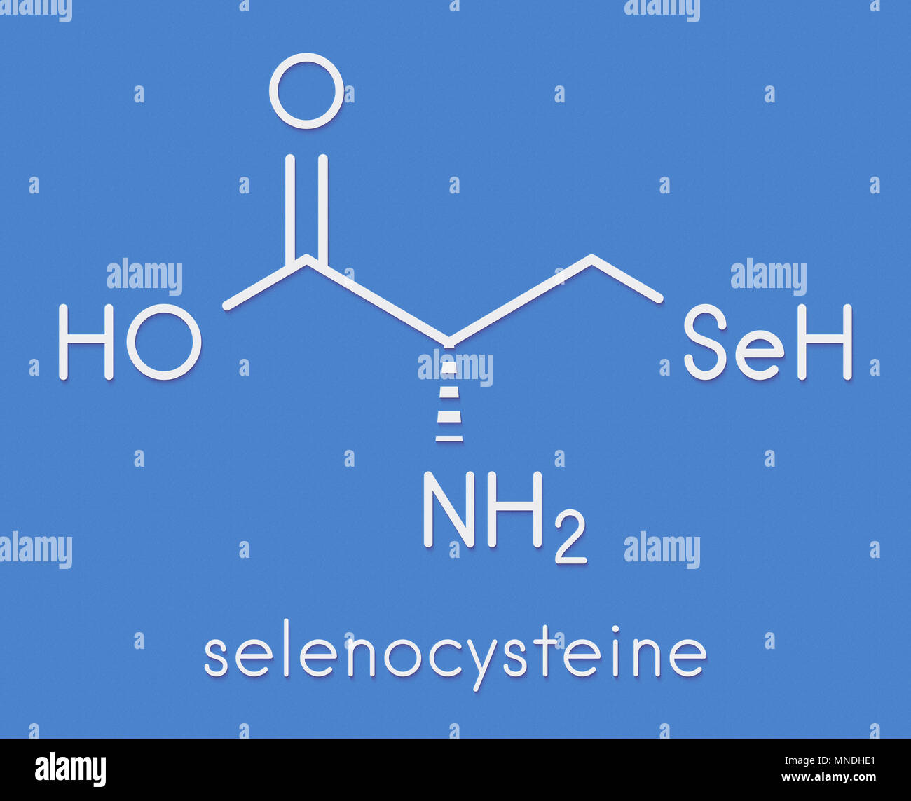 Selenocysteine amino acid molecule hi-res stock photography and images ...