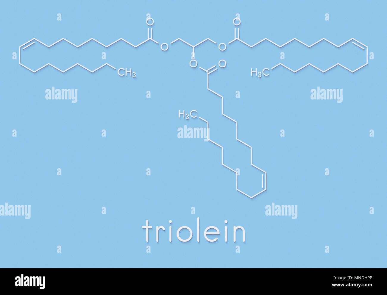 Olive oil triglyceride (glyceryl trioleate, triolein). Example of an ... Olive oil triglyceride (glyceryl trioleate, triolein). Example of an ...