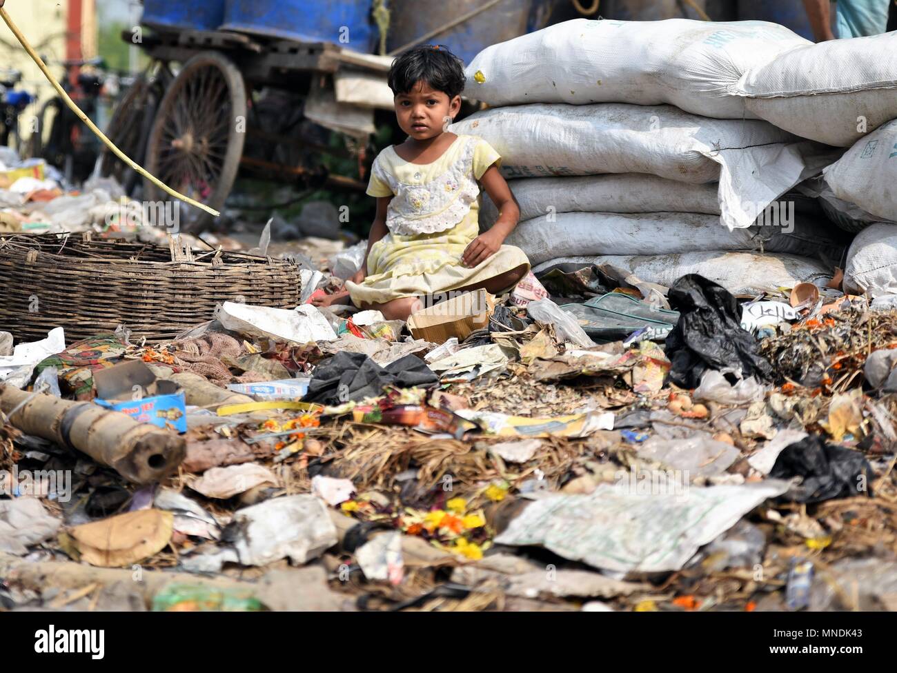 Scavenging child hi-res stock photography and images - Alamy