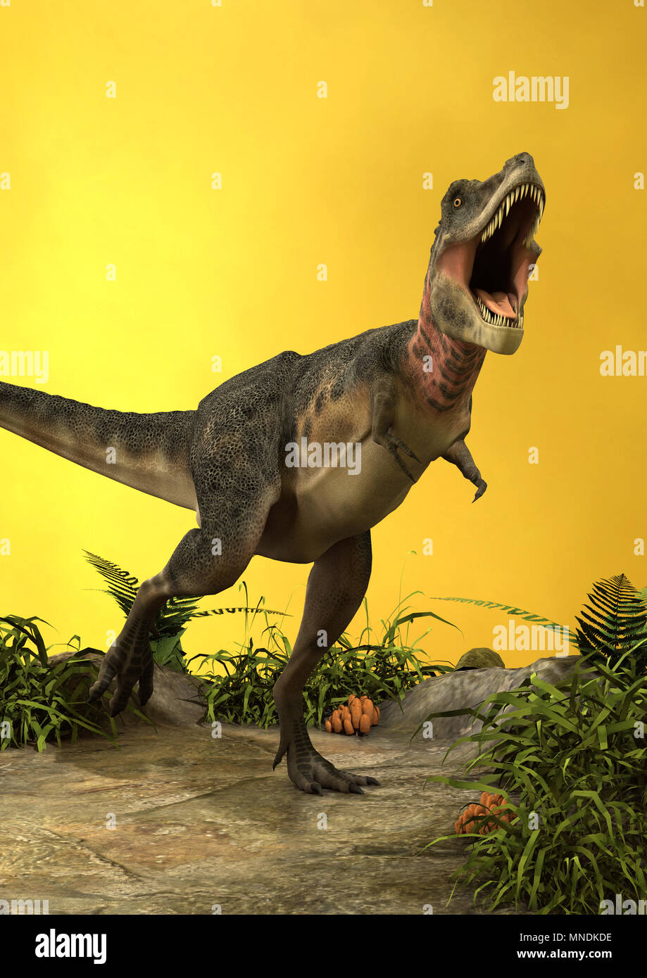 Real Dinosaur Background