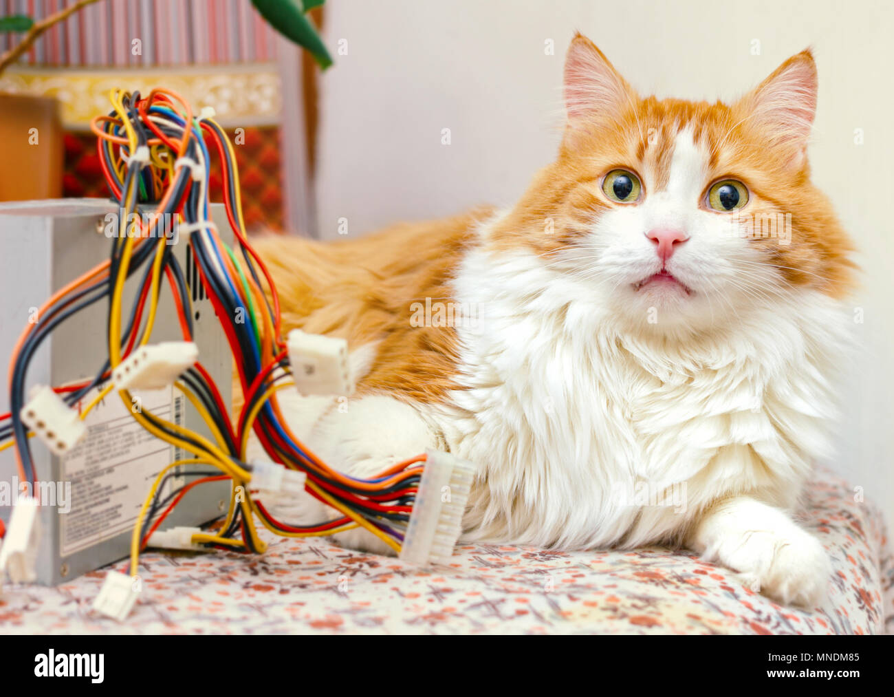 Wires interior hi-res stock photography and images - Alamy