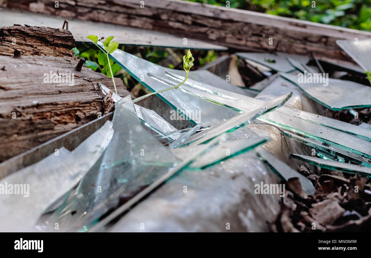 Beauty of glass hi-res stock photography and images - Alamy