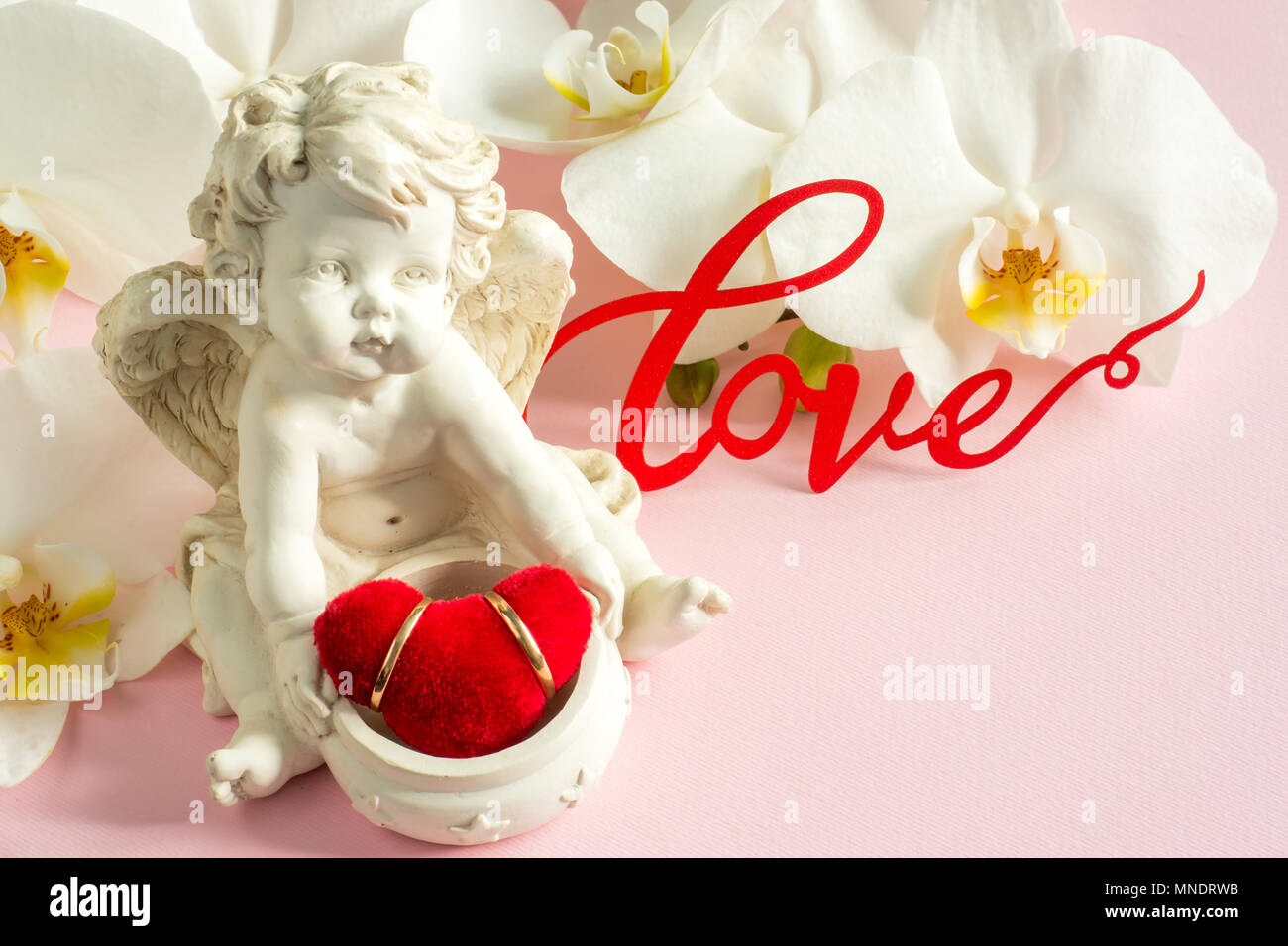 White Orchid angel sculpture wedding rings on pink background Stock ...