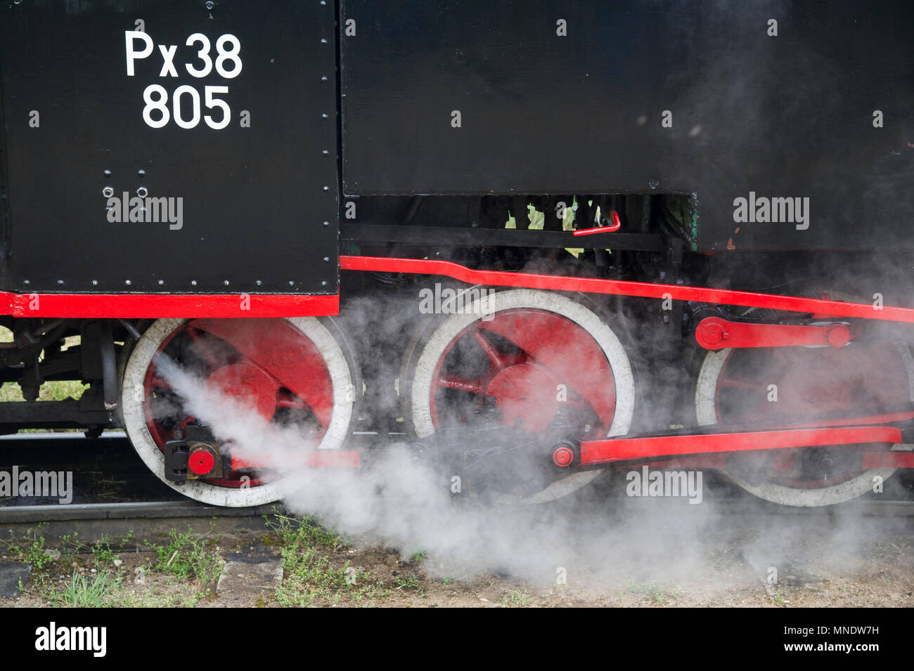 Polish 600 mm narrow gauge steam locomotive Px38-805 nicknamed Leon ...
