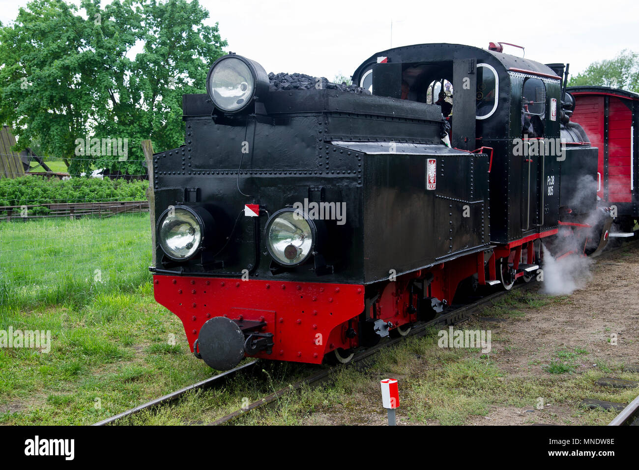 Polish 600 mm narrow gauge steam locomotive Px38-805 nicknamed Leon ...
