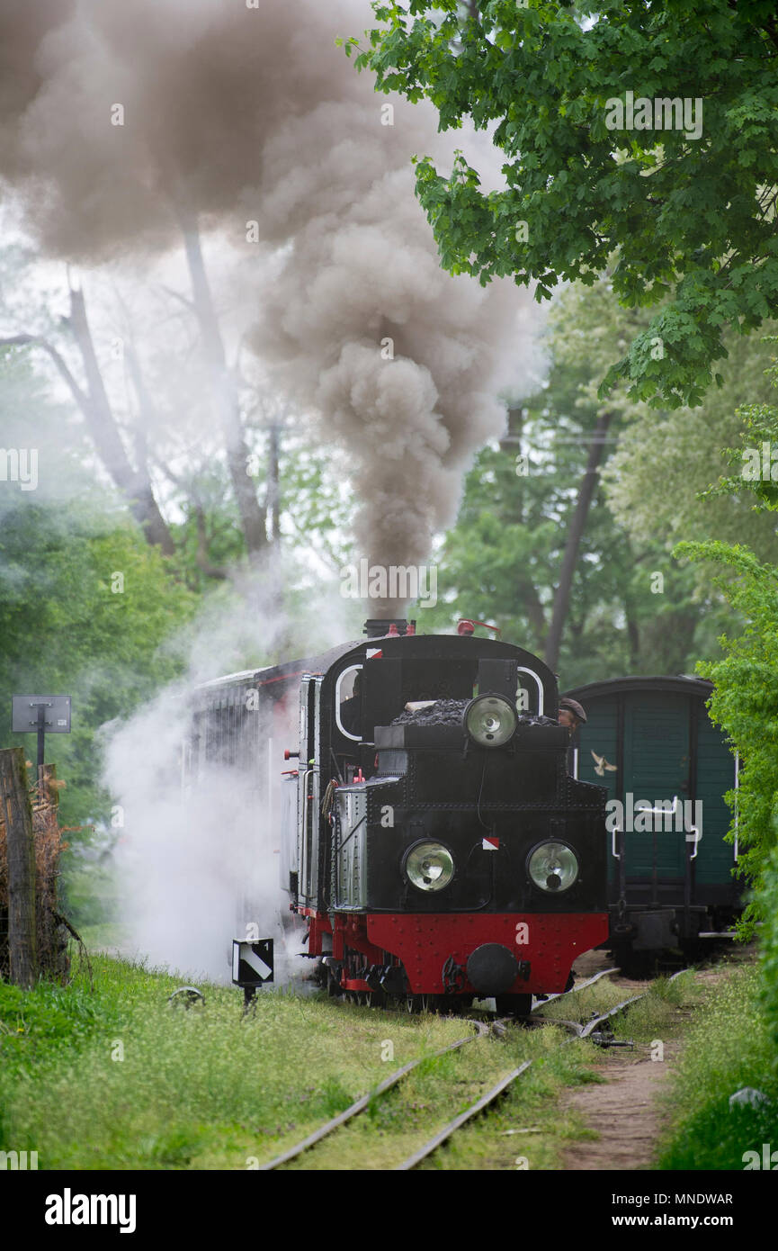 Polish 600 mm narrow gauge steam locomotive Px38-805 nicknamed Leon ...