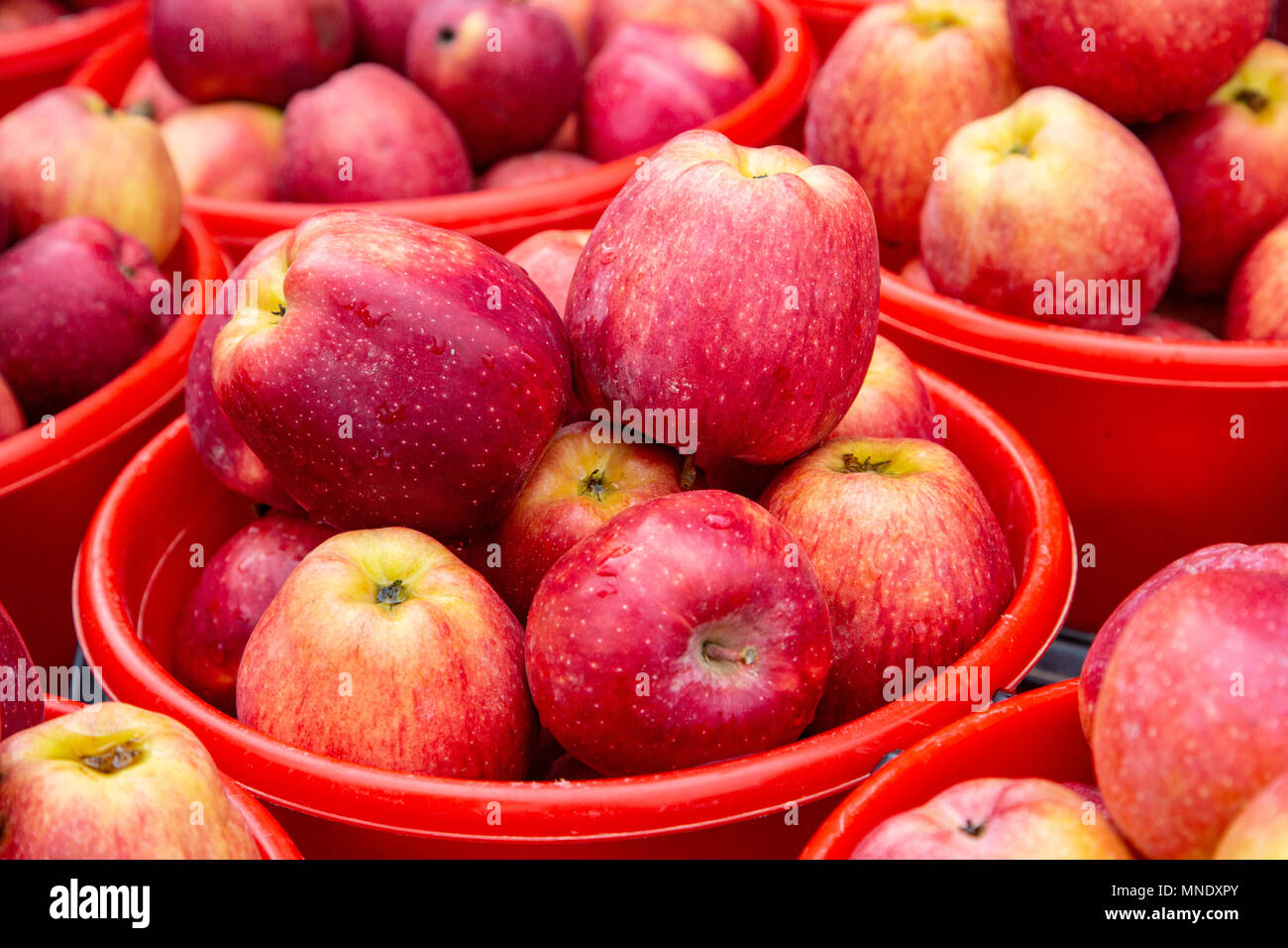 Bright colored apples in buckets Stock Photo - Alamy