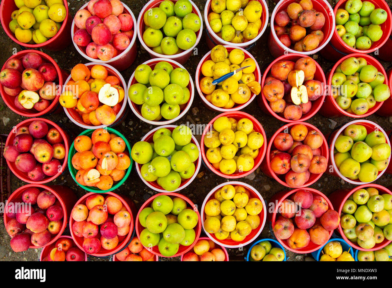 Bright colored apples in buckets Stock Photo - Alamy
