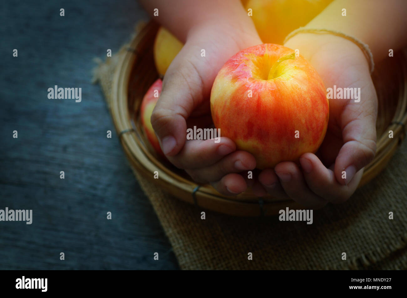 apple in younger hand concept in giver and donate food in dark tone ...