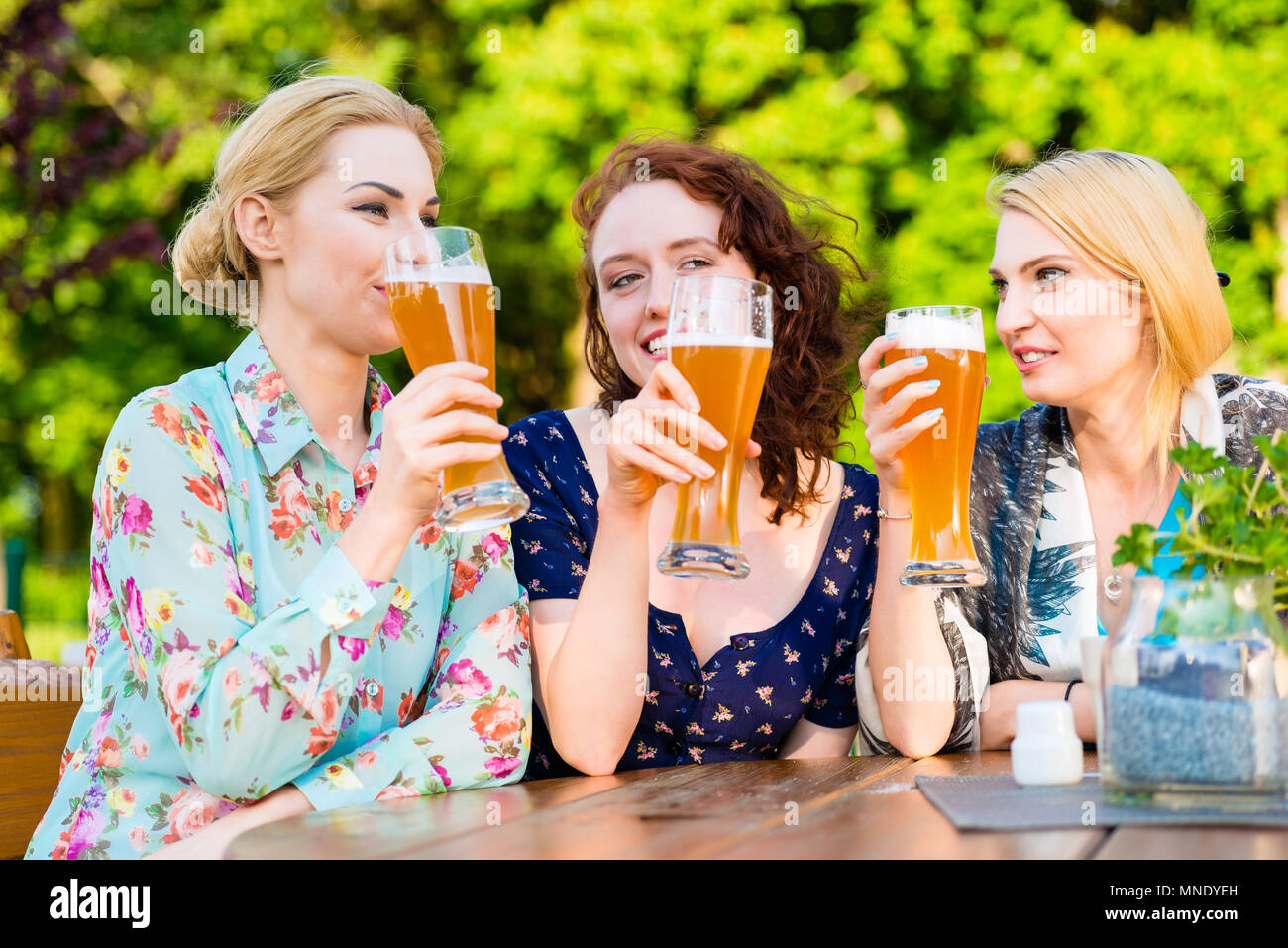 Friends toasting outside hi-res stock photography and images - Alamy