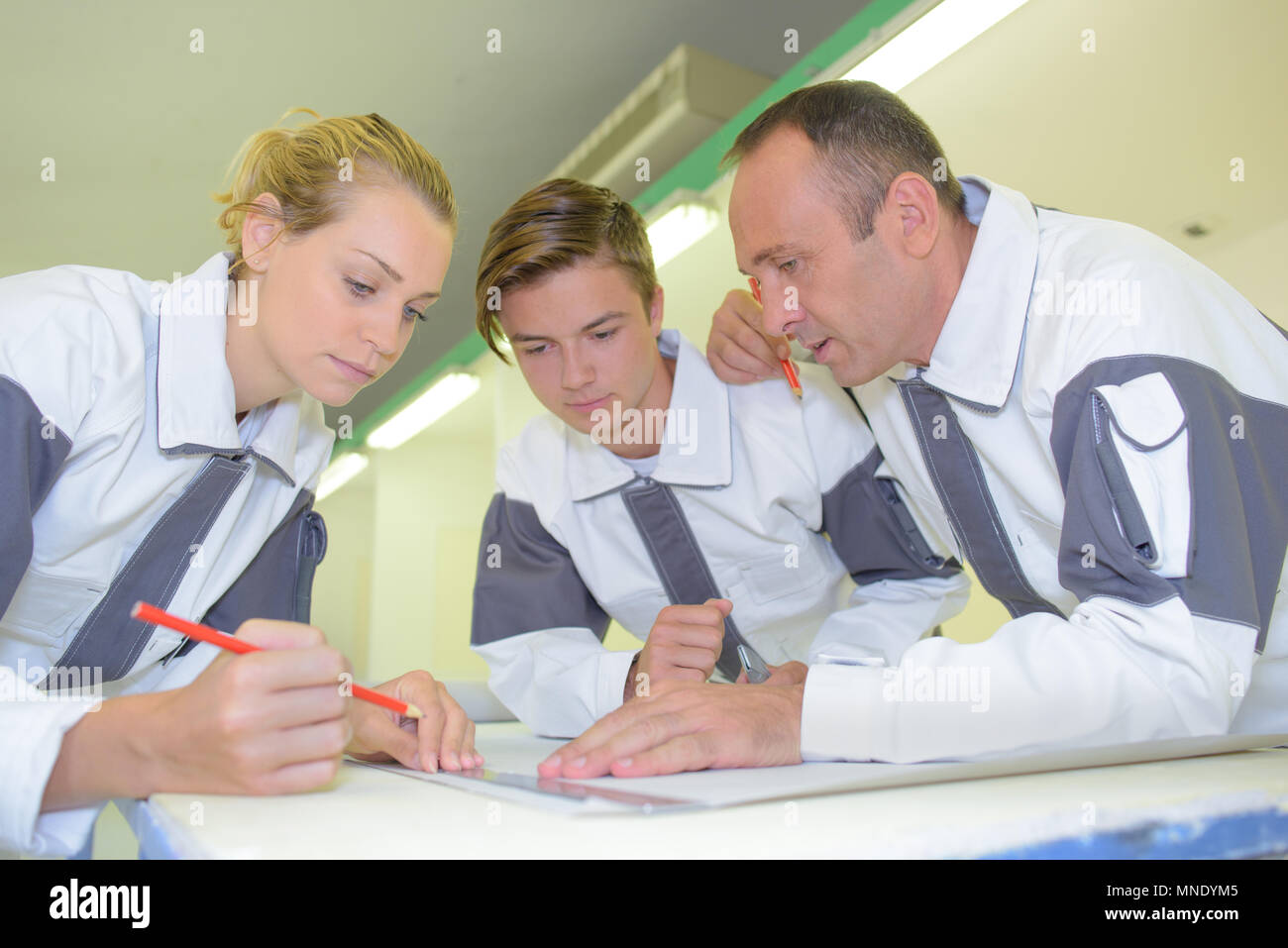 Team of manual workers drawing up project Stock Photo - Alamy