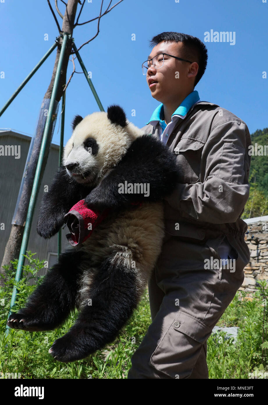 Hong kong special ad hi-res stock photography and images - Alamy