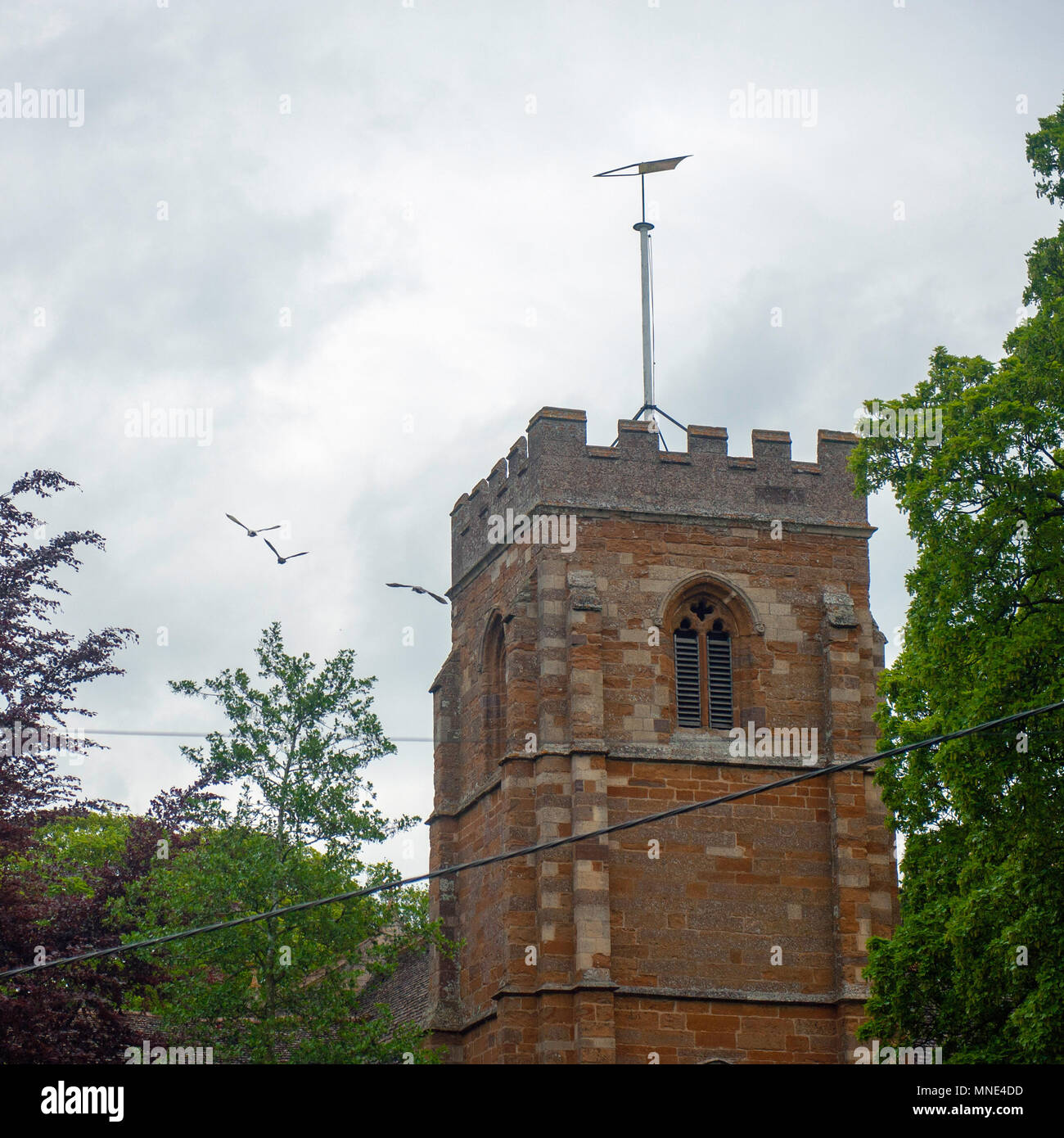 Leicestershire, UK. 16th May 2018. Overcast skies and ducks in the ...