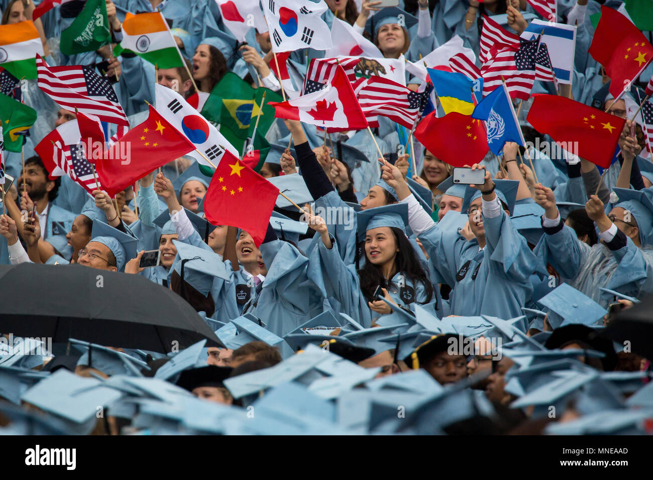 Sipa hi-res stock photography and images - Alamy