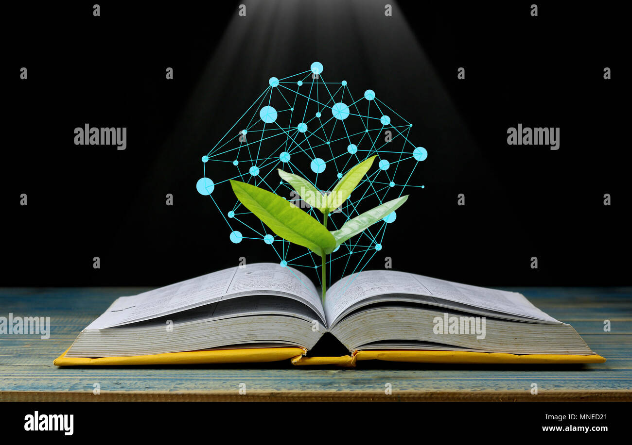 tree grow up from book with light shining as getting knowledge on black ...