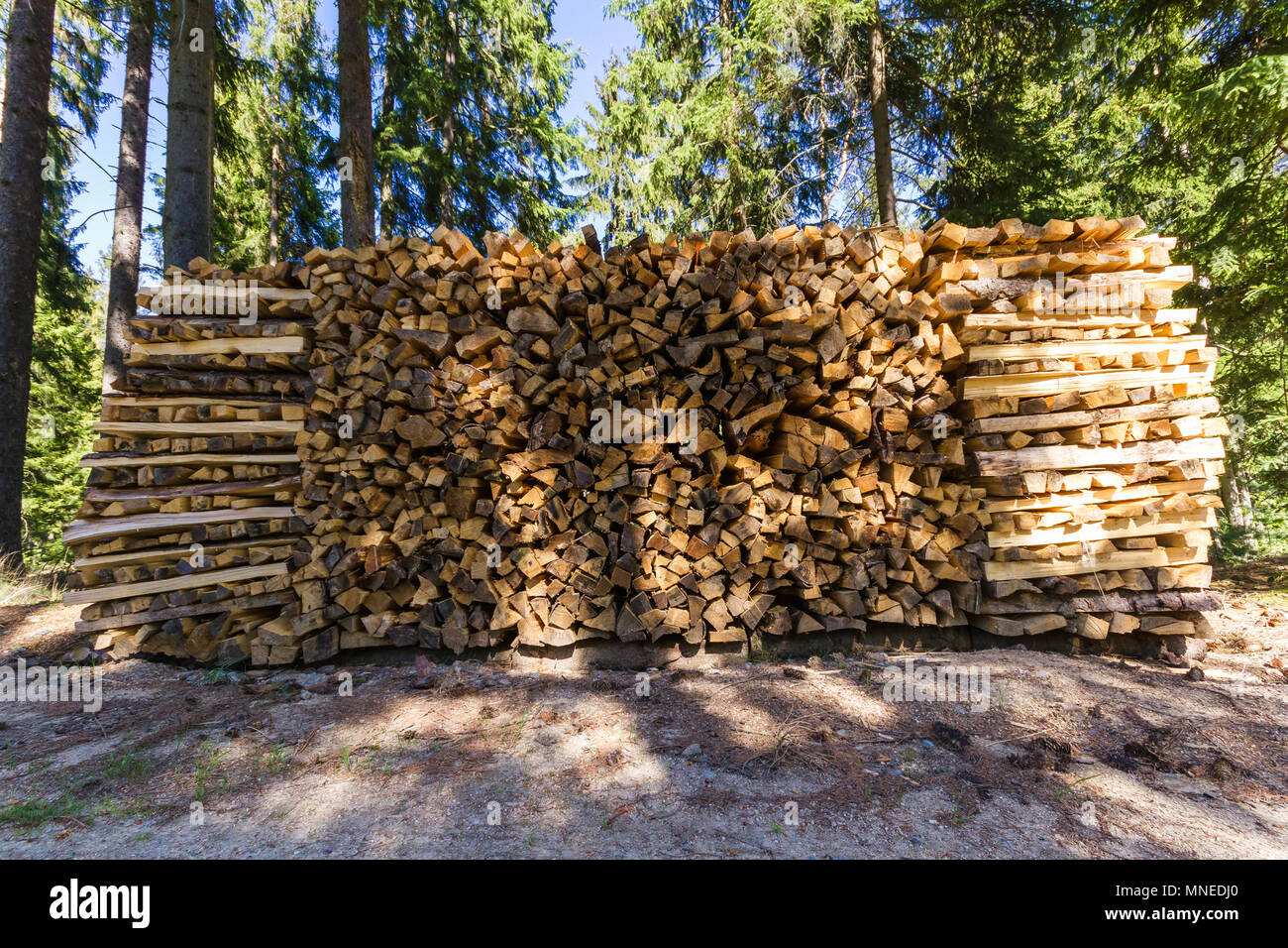 Walking timberjack hi-res stock photography and images - Alamy