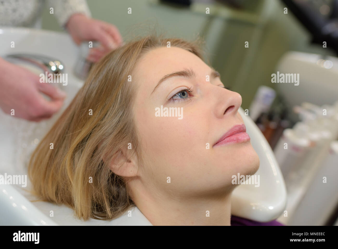 putting shampoo on the client's hair Stock Photo - Alamy