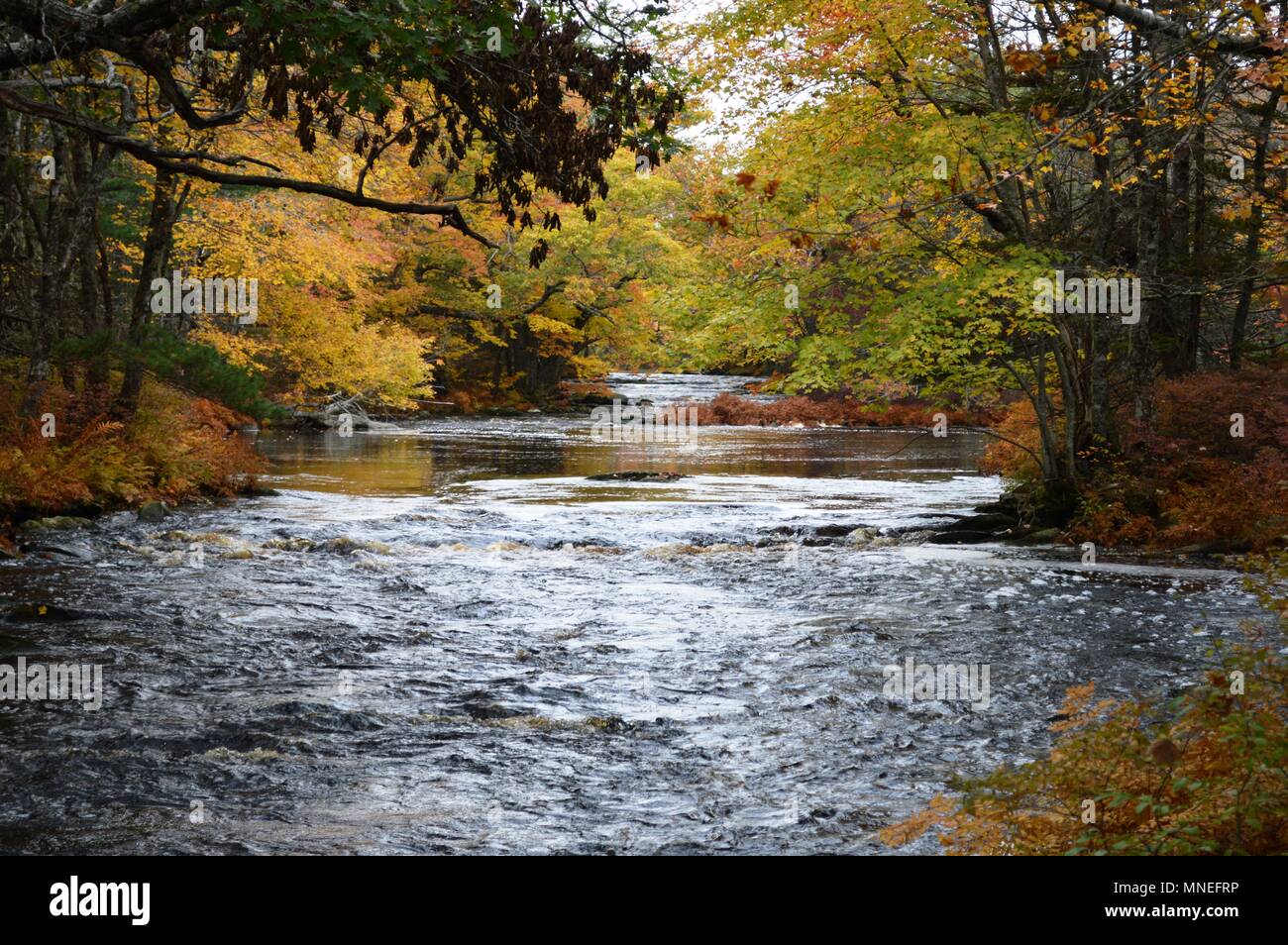 Fall on the Clyde River Stock Photo - Alamy