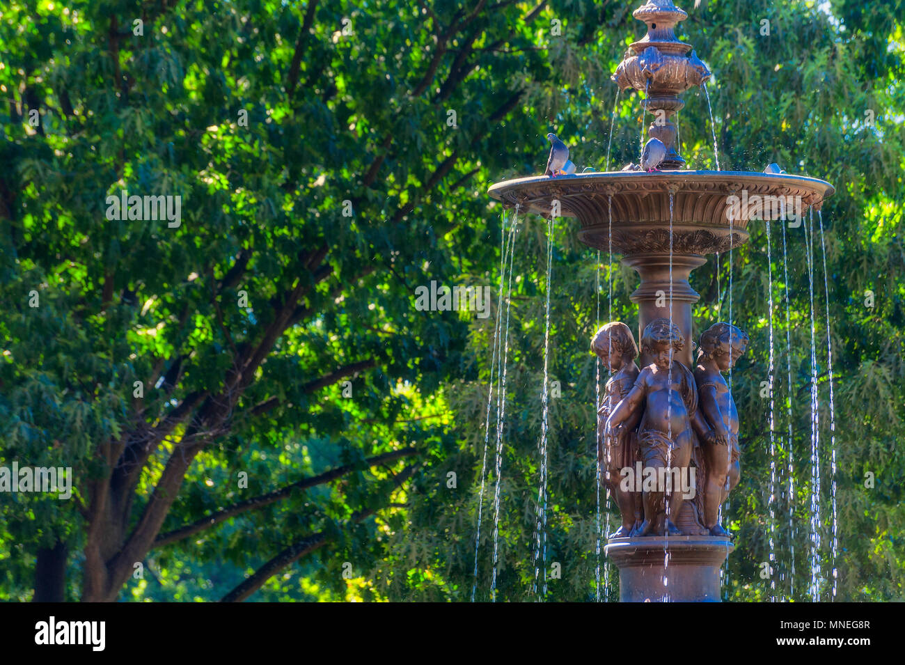 Bronze fountain hi-res stock photography and images - Alamy