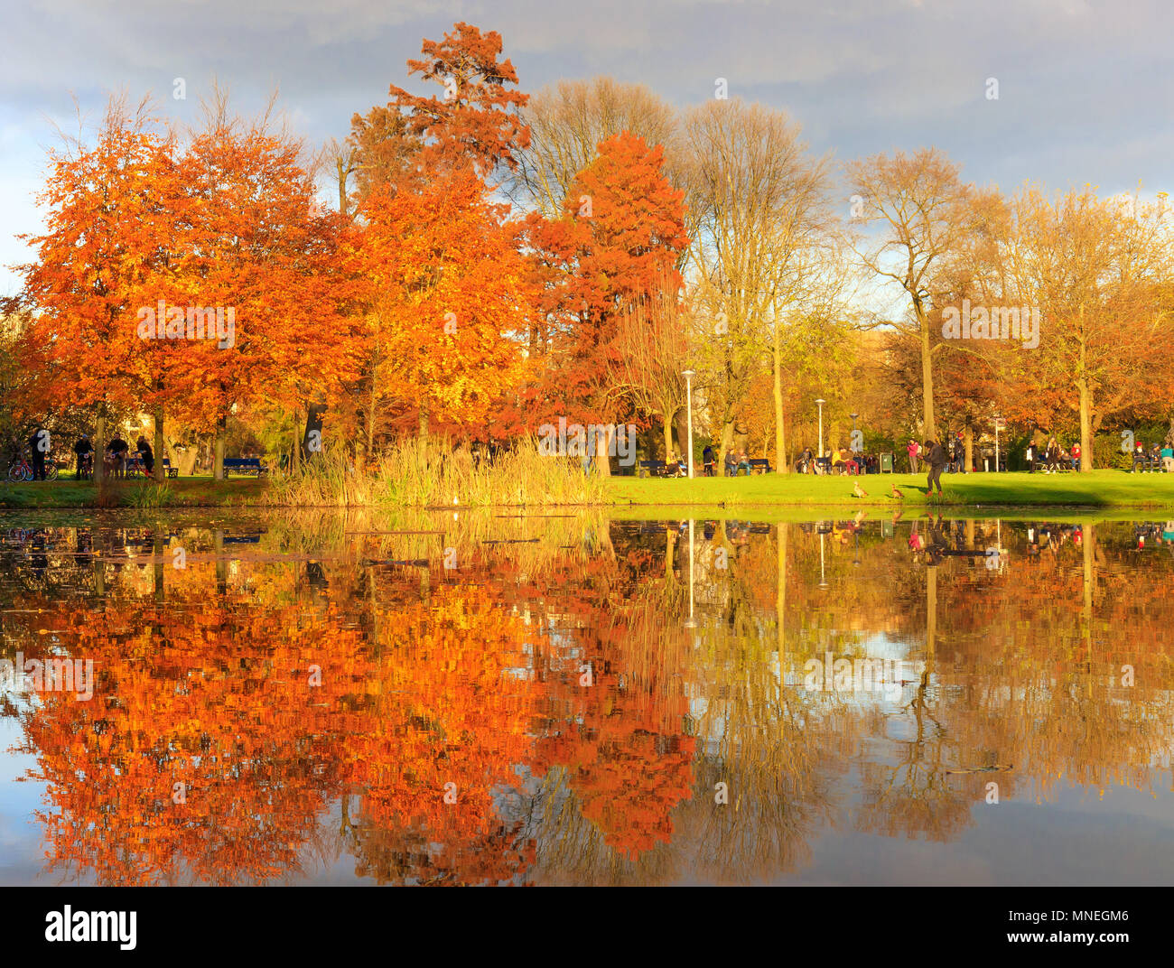 Amsterdam vondelpark fall hi-res stock photography and images - Alamy