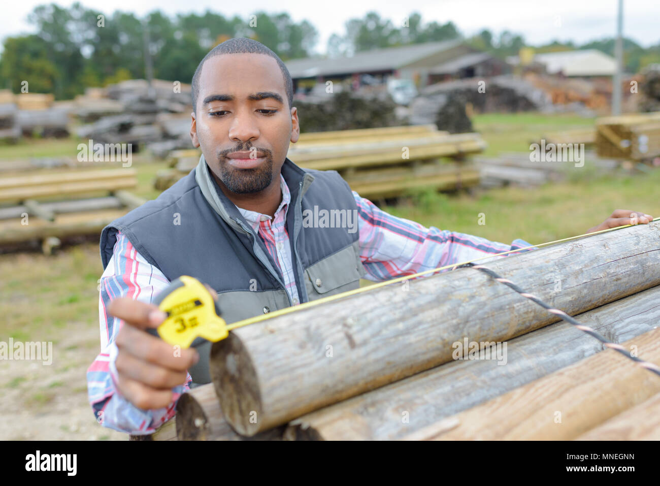 measuring the lumber Stock Photo - Alamy